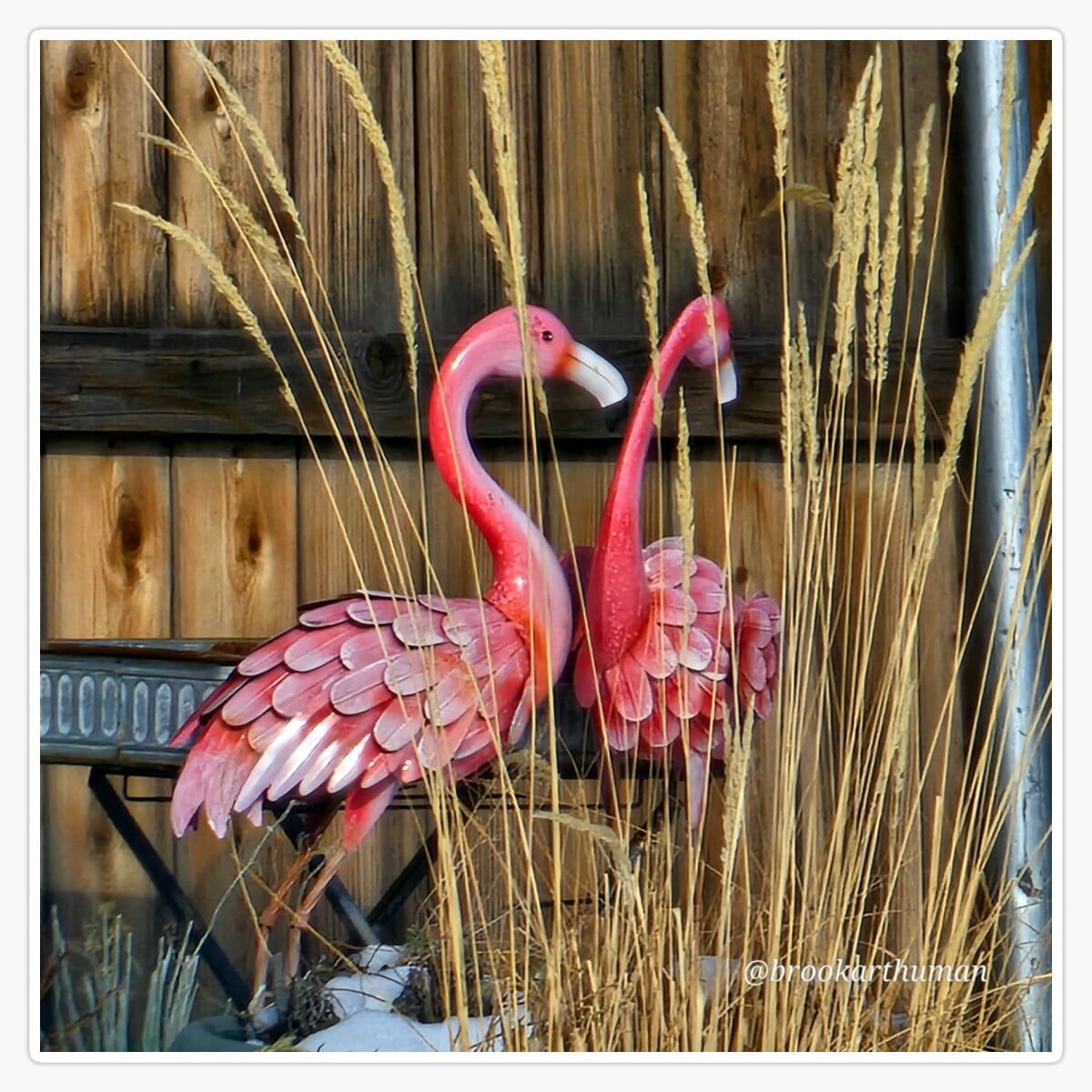 DOPASTICKER Flamingo Pairingo Sticker, Phone Sticker Water Bottle ...