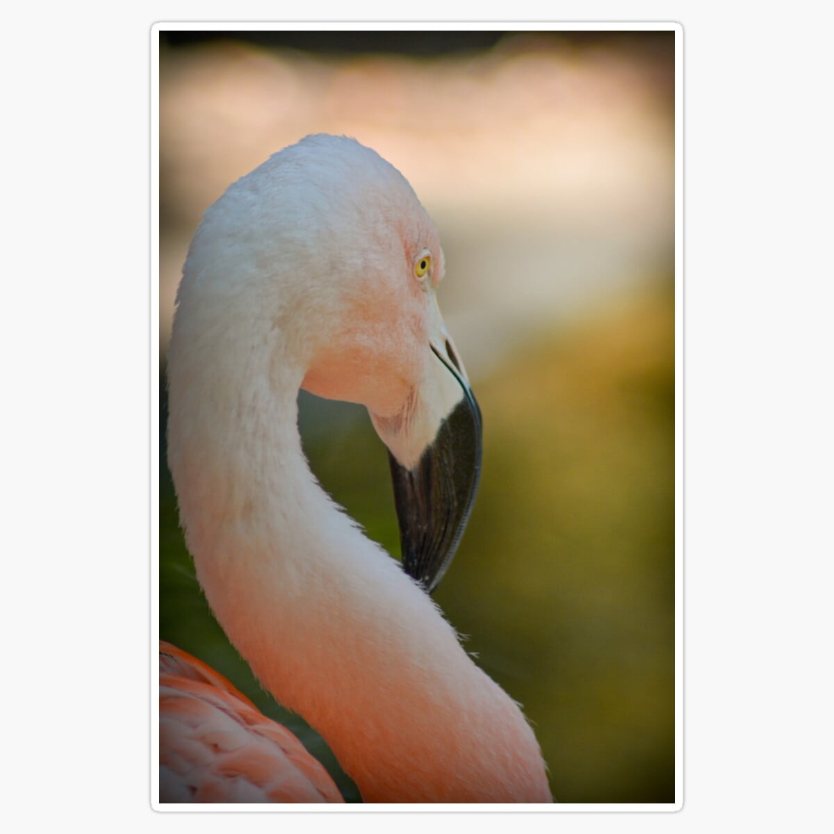 DOPASTICKER Flamingo Sticker, Phone Sticker Car Stickers, Birthday Gift ...