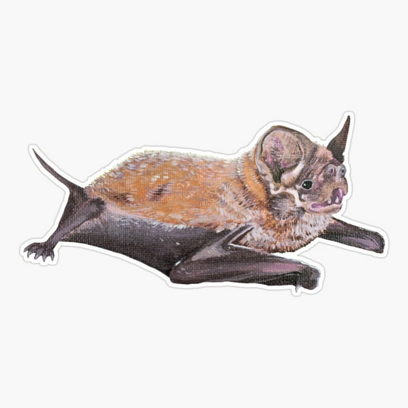 DOPASTICKER Florida Bonneted Bat Sticker, Phone Sticker Water Bottle ...