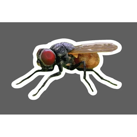 DOPASTICKER Fly Sticker Realistic Insect Animal Realistic Sticker Phone ...