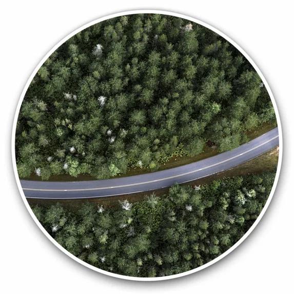 DOPASTICKER Forest Road Travel Adventure Cool Gift Decorative Laptop ...