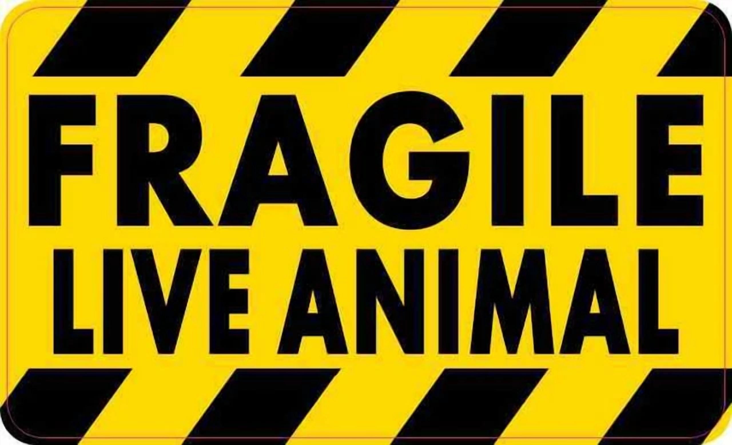 DOPASTICKER Fragile Live Animal Sticker Phone Sticker, Latop Sticker ...