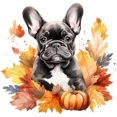 DOPASTICKER French Bulldog Dog Car Sticker Dogs Sticker Phone Sticker ...