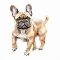 DOPASTICKER French Bulldog Dog Car Sticker Dogs Sticker Phone Sticker ...