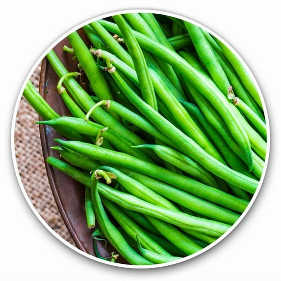 DOPASTICKER Fresh Green Home Grown Beans Cool Gift Decorative Laptop ...