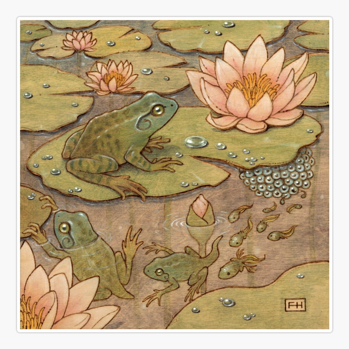 DOPASTICKER Frog Life Cycle Sticker, Phone Sticker Water Bottle Sticker ...