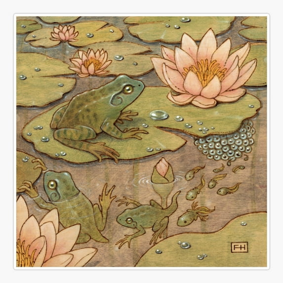 DOPASTICKER Frog Life Cycle Sticker, Phone Sticker Water Bottle Sticker ...