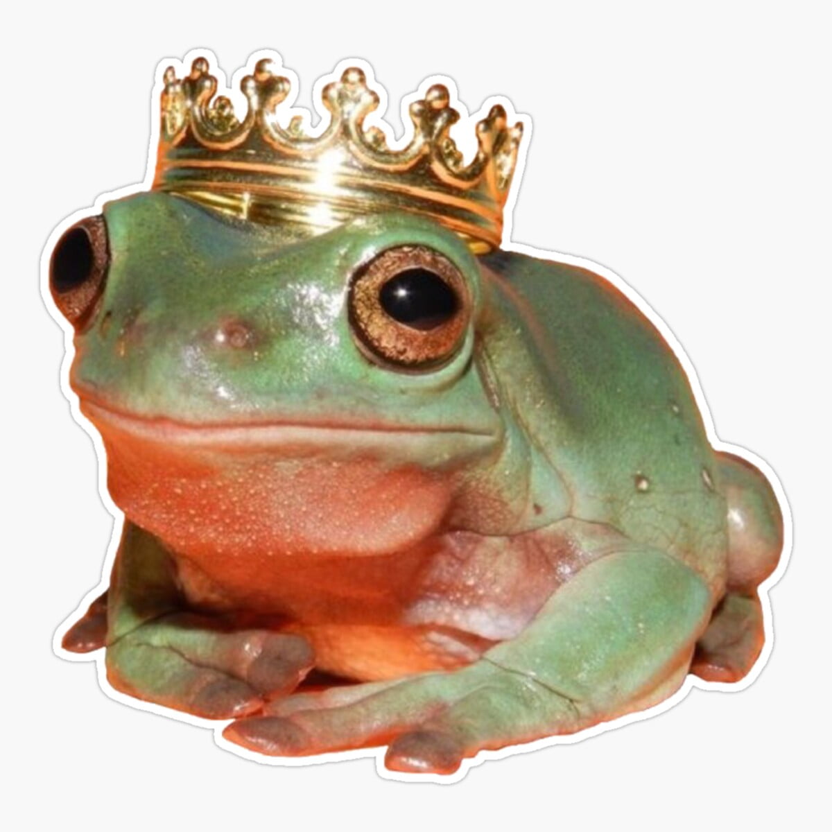 DOPASTICKER Frog With Crown Sticker, Phone Sticker Water Bottle Sticker ...