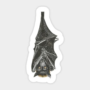 DOPASTICKER Fruit Bat Decorative Laptop, Phone Stickers, Waterproof ...