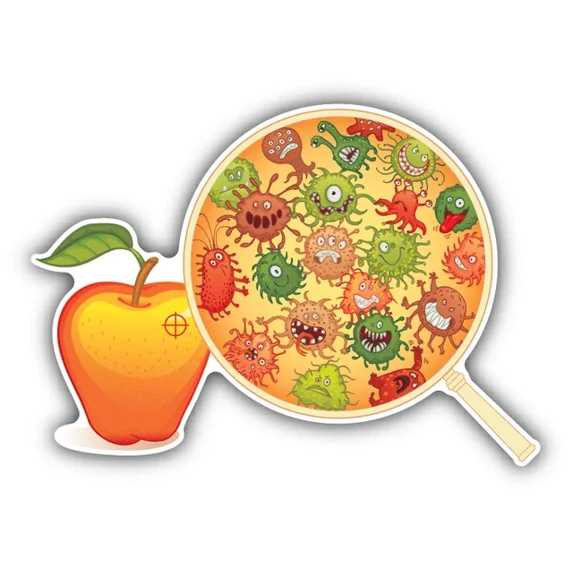 DOPASTICKER Fruit Microscope Bacteria Sticker Decal Phone Decal Water ...