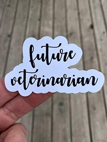 DOPASTICKER Future Veterinarian Sticker Phone Decal Water Bottle ...