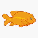 DOPASTICKER Garibaldi Fish Sticker, Phone Sticker Water Bottle Sticker ...