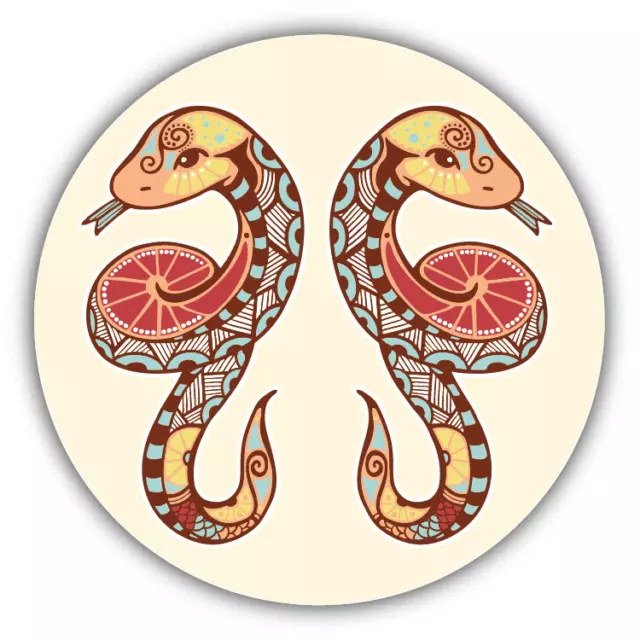 DOPASTICKER Gemini Zodiac Sign Ornament Sticker Decal Phone Decal Water ...