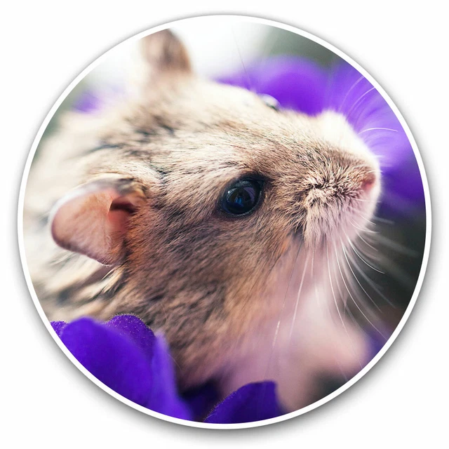 DOPASTICKER Gerbil Mice Rat Cute Rodent Cool Gift Decorative Laptop ...
