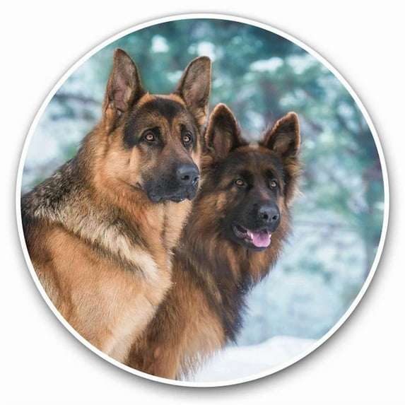 DOPASTICKER German Shepherd Dog Alsatian Winter Cool Gift, Phone ...
