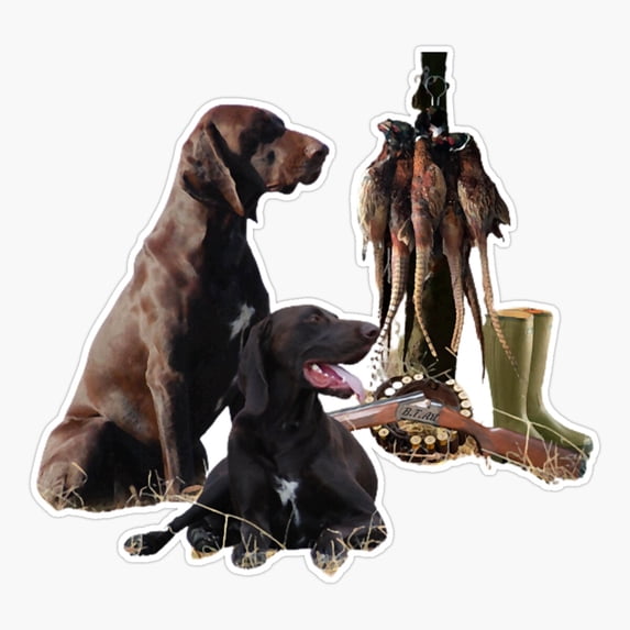 DOPASTICKER German Shorthaired Pointers With Pheasant Sticker, Phone ...