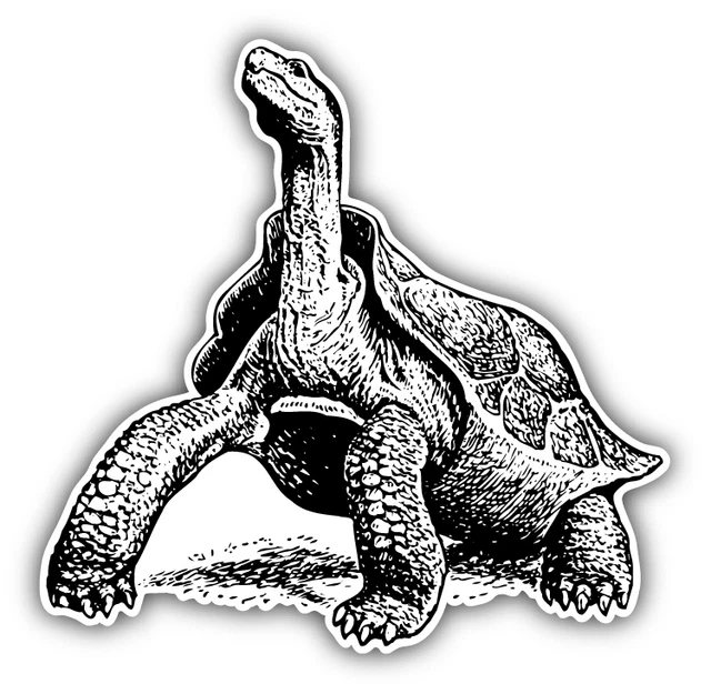 DOPASTICKER Giant Turtle Sketch Sticker Decal Phone Decal Water Bottle ...
