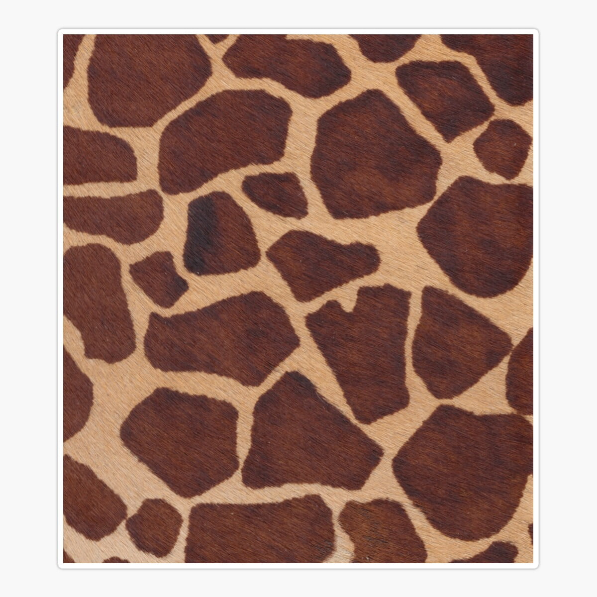 DOPASTICKER Giraffe Skin Print - Simple Stylish Animal Patterns ...