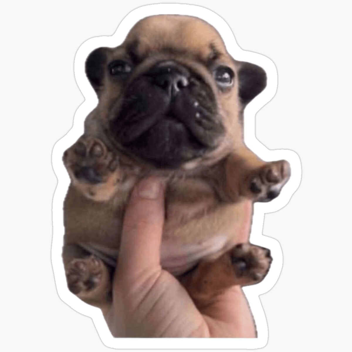 DOPASTICKER Gmail Grabbed Sticker, Waterproof Decal For Pet Lovers ...