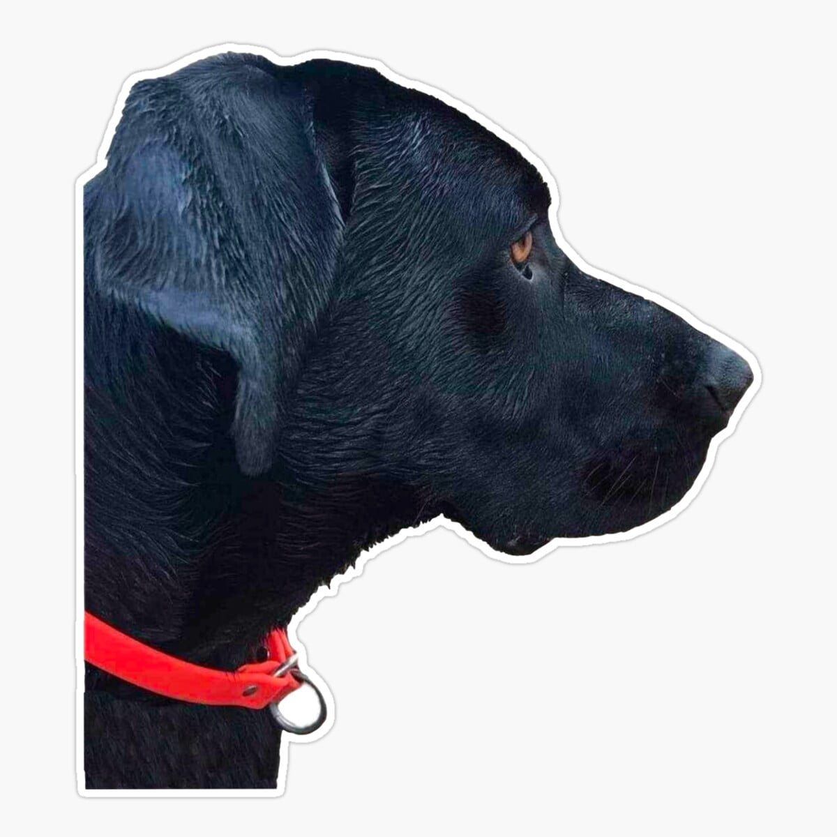 DOPASTICKER Go.Ose The Black Lab Sticker, Phone Sticker Water Bottle ...