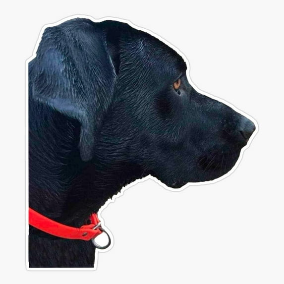 DOPASTICKER Go.Ose The Black Lab Sticker, Phone Sticker Water Bottle ...