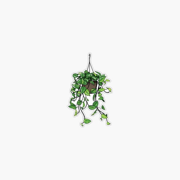 DOPASTICKER Golden Pothos Hanging Plant Sticker, Phone Sticker Car ...