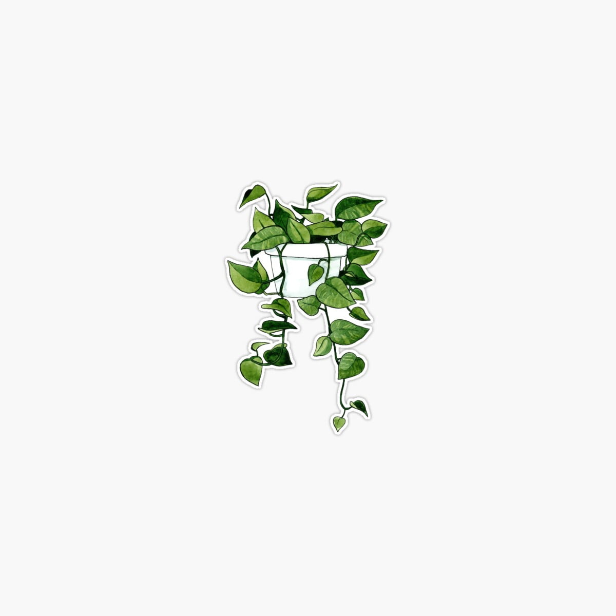 DOPASTICKER Golden Pothos Plant Sticker, Phone Sticker Car Stickers ...
