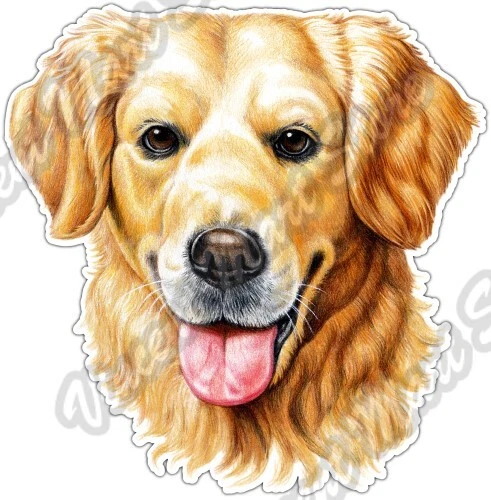 DOPASTICKER Golden Retriever Face Dog Pet Breed Animal Car Sticker ...