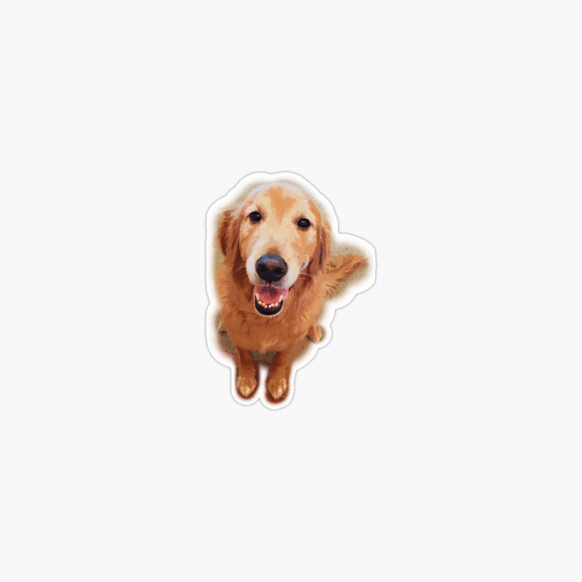 DOPASTICKER Golden Retriever Sticker, Phone Sticker Car Stickers ...