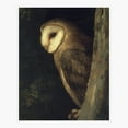 DOPASTICKER Golden White Barn Owl Vintage Sticker, Phone Sticker Car ...