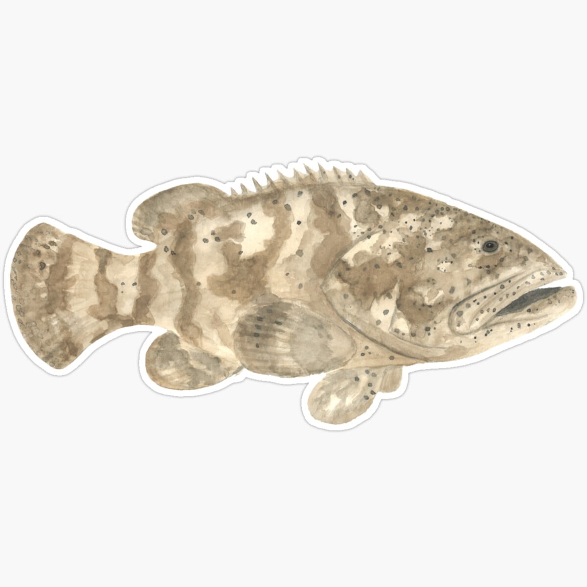 DOPASTICKER Goliath Grouper Sticker Decorative Laptop, Phone Stickers ...