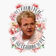 DOPASTICKER Gordon Ramsey Quote Panini Head Sticker, Phone Sticker Car ...