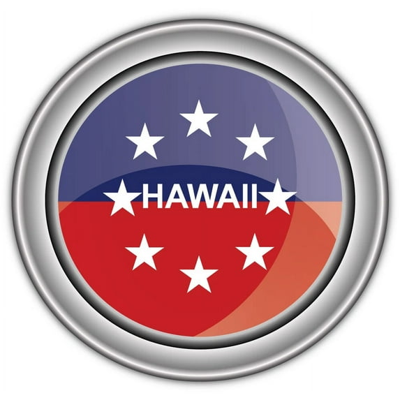 DOPASTICKER Governor Of Hawaii Usa State Flag Silver Badge Car Bumper ...
