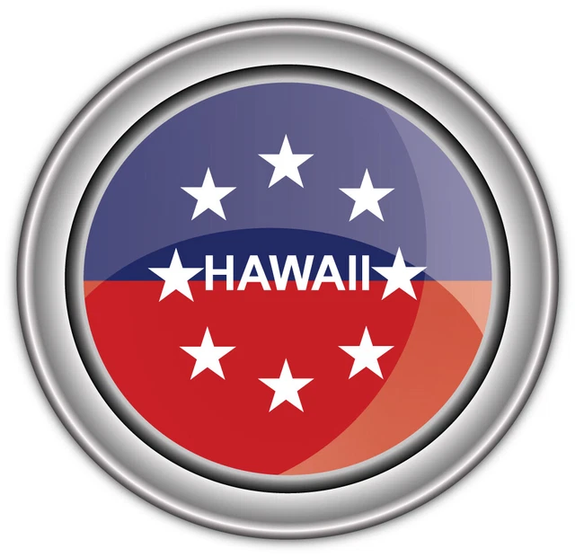 DOPASTICKER Governor Of Hawaii Usa State Flag Silver Badge Sticker ...