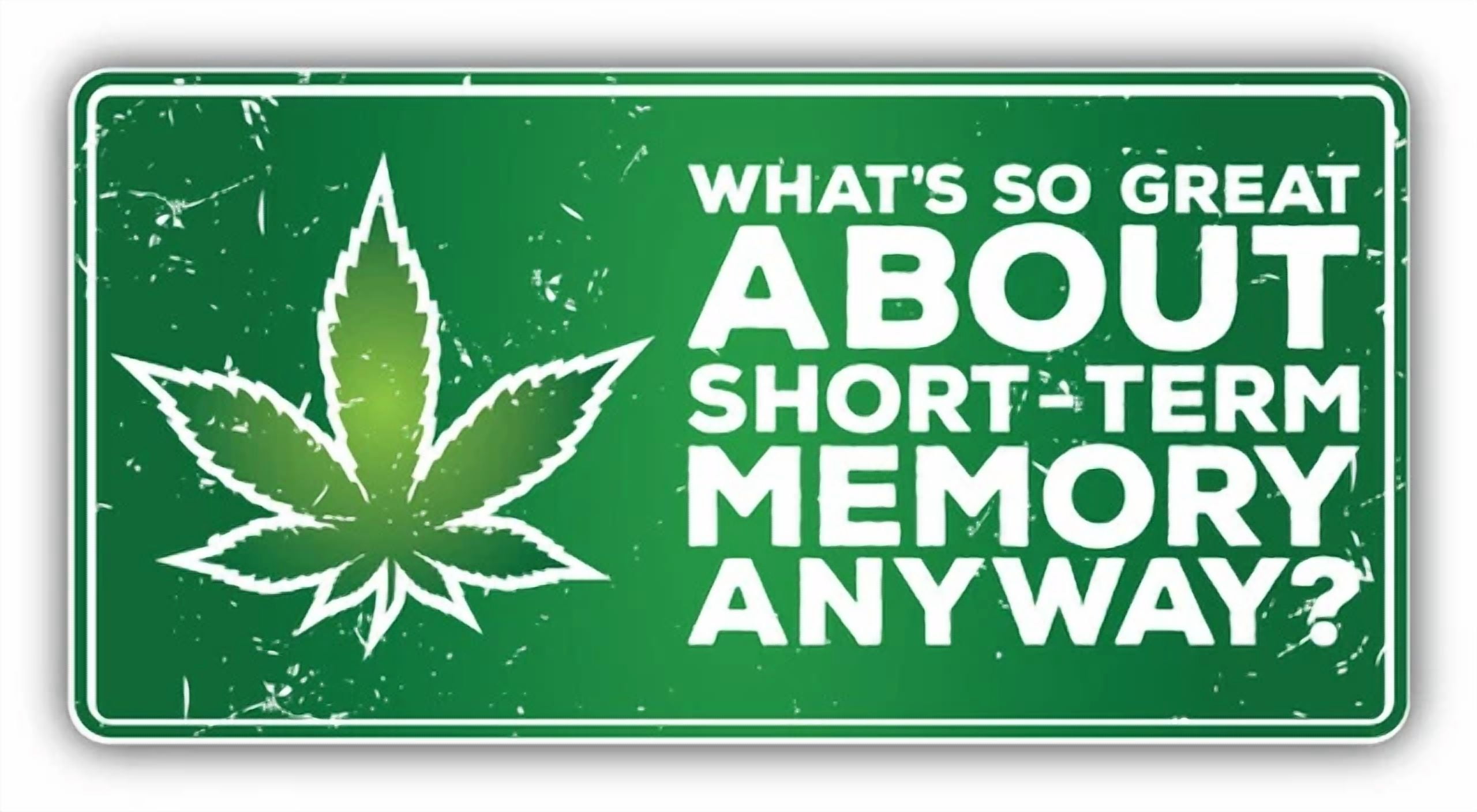 DOPASTICKER What'S So Great About Short Term Memory Anyway Sticker ...