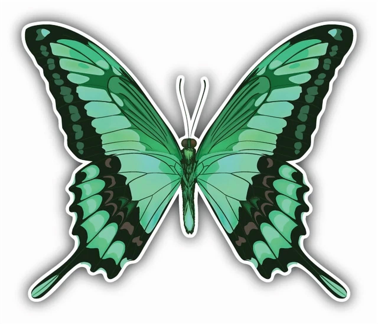 DOPASTICKER Green Butterfly Sticker Decal Phone Decal Water Bottle ...