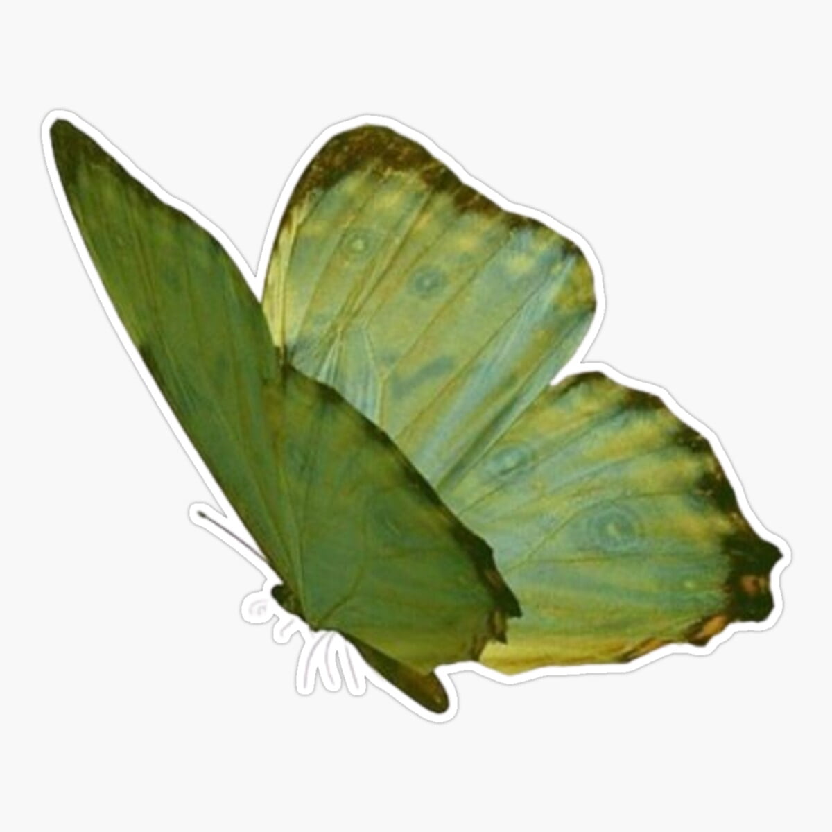 DOPASTICKER Green Butterfly Sticker, Phone Sticker Car Stickers ...