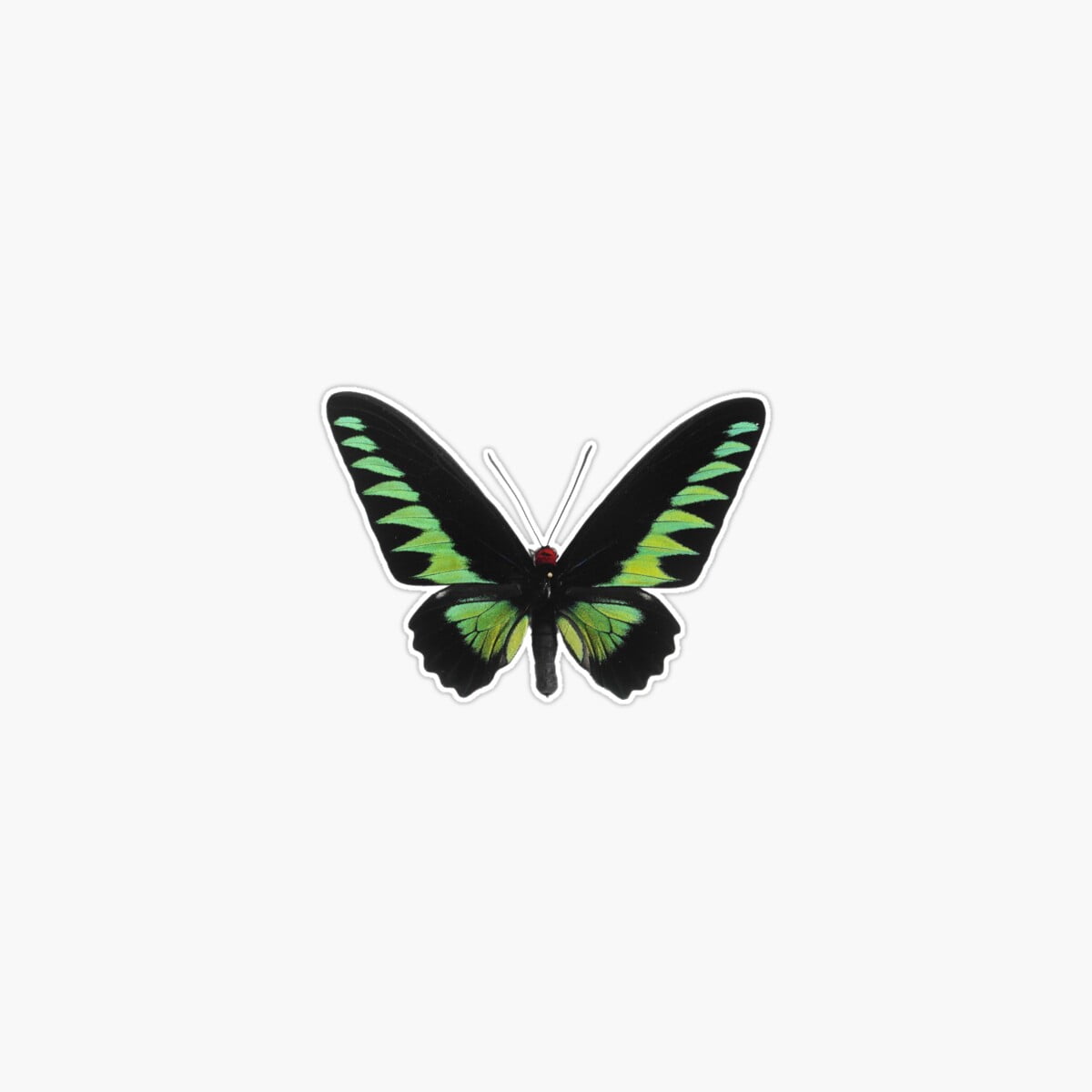 DOPASTICKER Green Butterfly Sticker, Phone Sticker Car Stickers ...