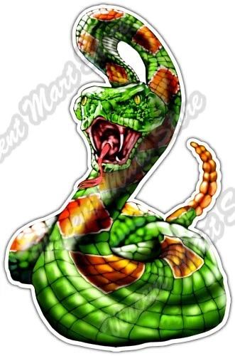 DOPASTICKER Green Rattlesnake Snake Reptile Venom Car Sticker Decal ...
