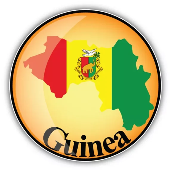 DOPASTICKER Guinea Map Flag Sticker Decal Phone Decal Water Bottle ...