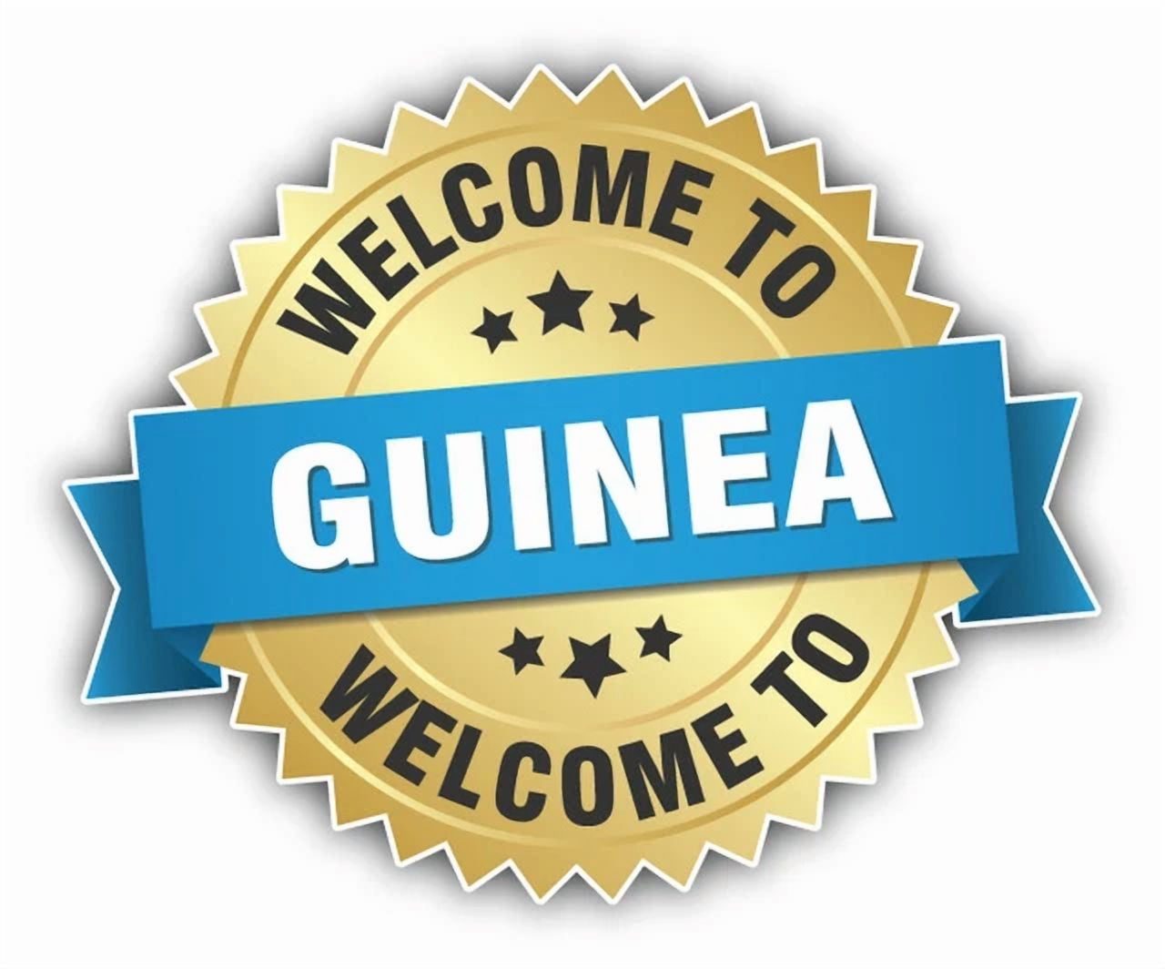 DOPASTICKER Guinea Welcome Sticker Decal Phone Decal Water Bottle ...