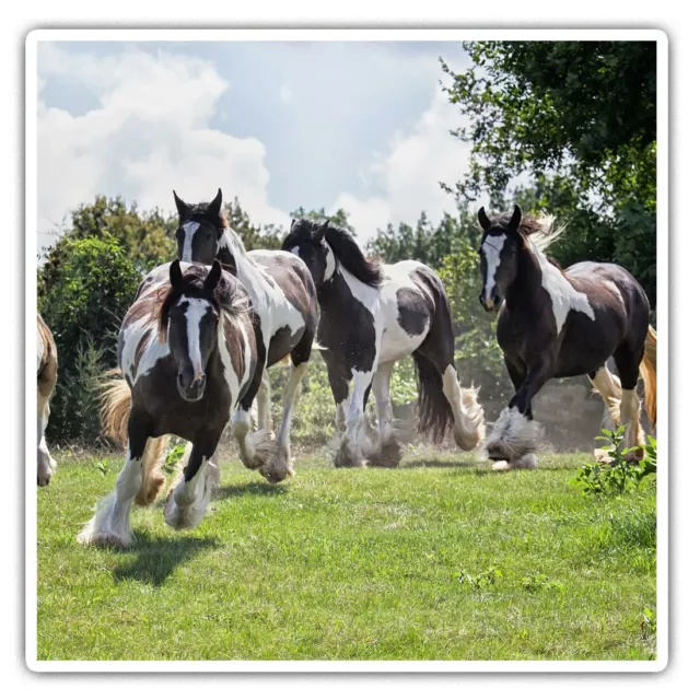 DOPASTICKER Gypsy Vanner Horse Herd Decorative Laptop, Phone Stickers ...