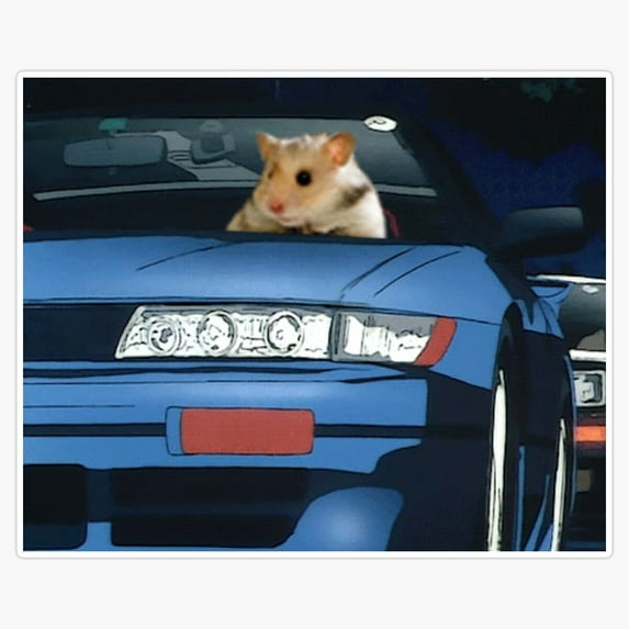 DOPASTICKER Hamster Edit In Car Sticker, Phone Sticker Water Bottle ...