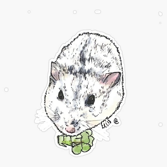DOPASTICKER Hamster Illustration Sticker, Phone Sticker Water Bottle ...