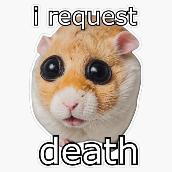 DOPASTICKER Hamster Quote Sticker, Phone Sticker Water Bottle Sticker ...