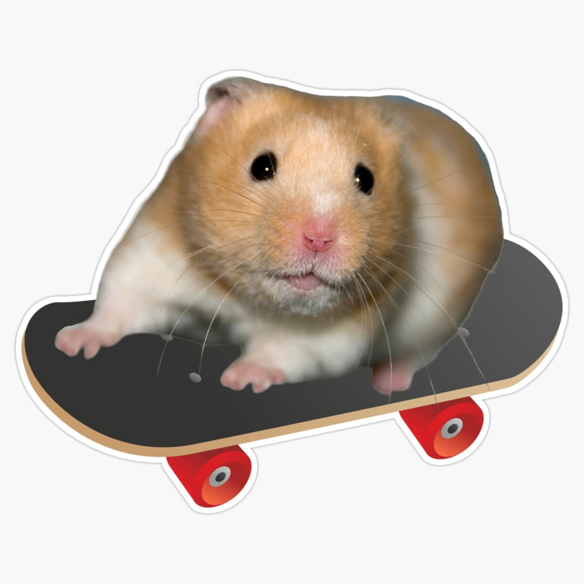 DOPASTICKER Hamster Sticker, Phone Sticker Car Stickers, Birthday Gift ...