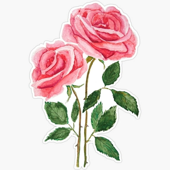 DOPASTICKER Hand Painted 2 Pink Roses Watercolor Sticker, Phone ...
