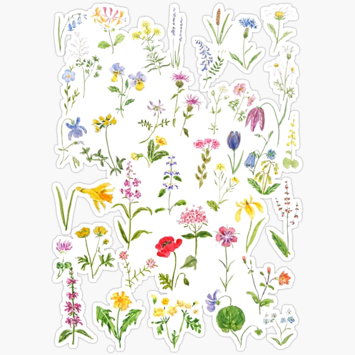 DOPASTICKER Hand Painted Botanical Colorful Countryside Wildflowers ...
