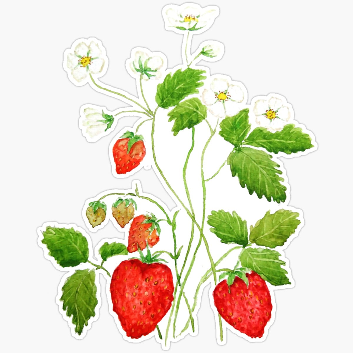DOPASTICKER Hand Painted Strawberry Painting Sticker Decorative Laptop ...