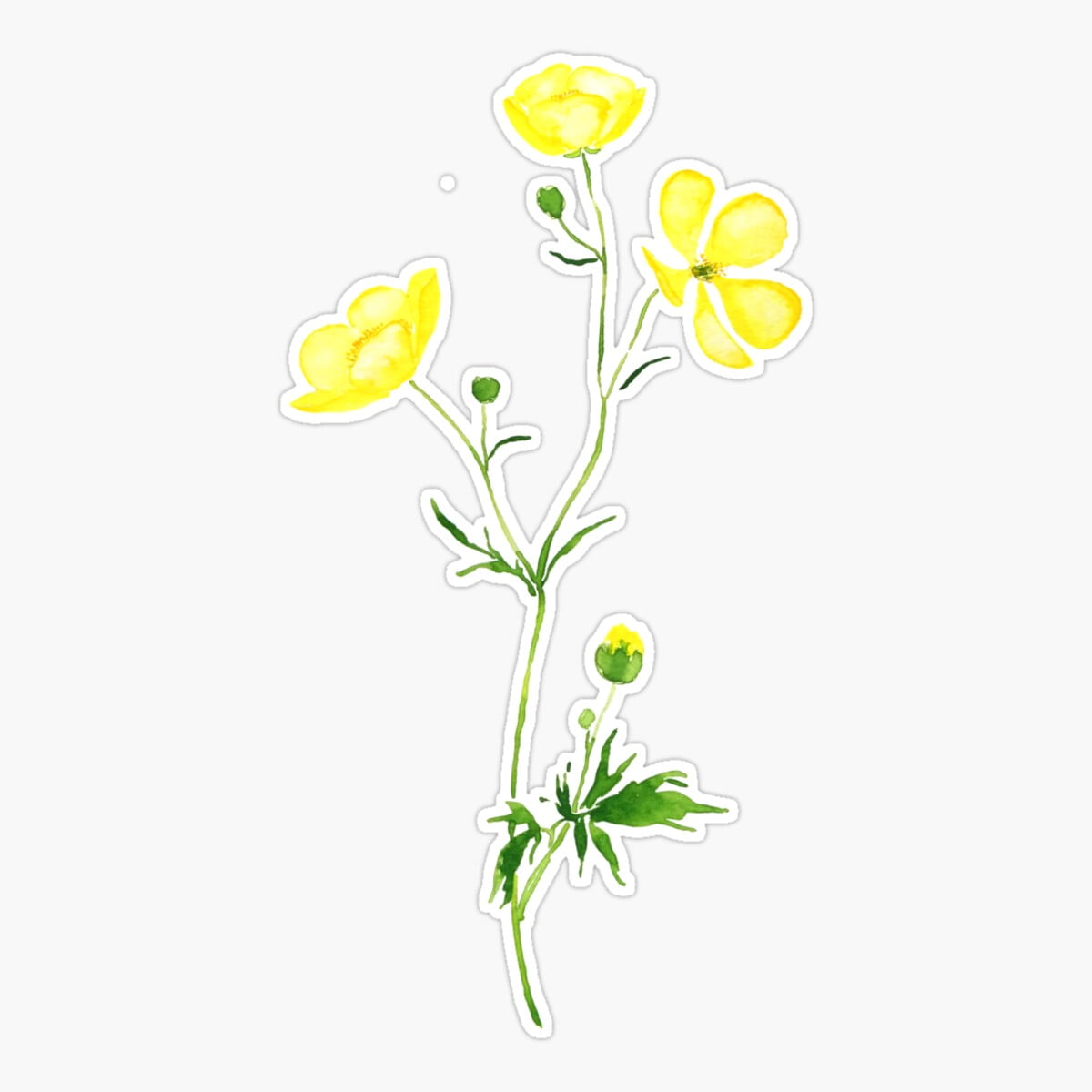 DOPASTICKER Hand Painted Yellow Buttercup Flower Watercolor Sticker ...